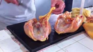 Rentabilidad de un NEGOCIO de POLLERÍA: CONOCE Los NÚMEROS